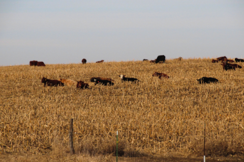 Patterson Farm - Nebraska Land Trust